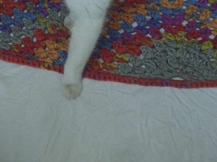 Korte documentaire van Marthe Peters in competitie in Berlijn | Vlaams ...